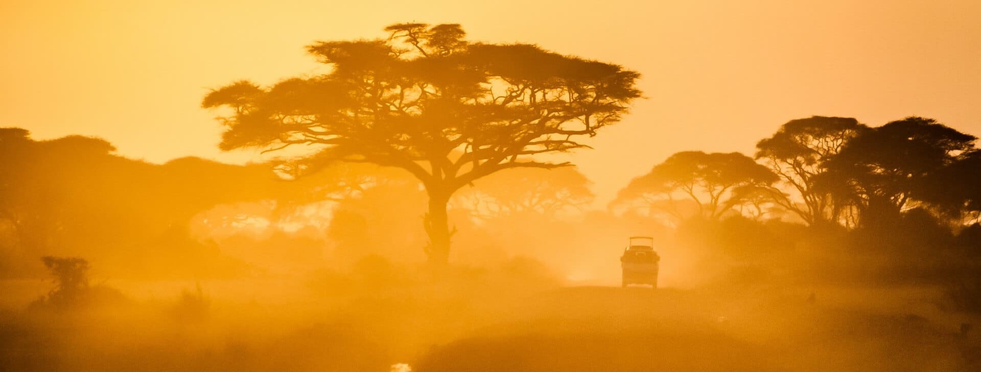 50+ Africa Tour Packages | GT Holidays
