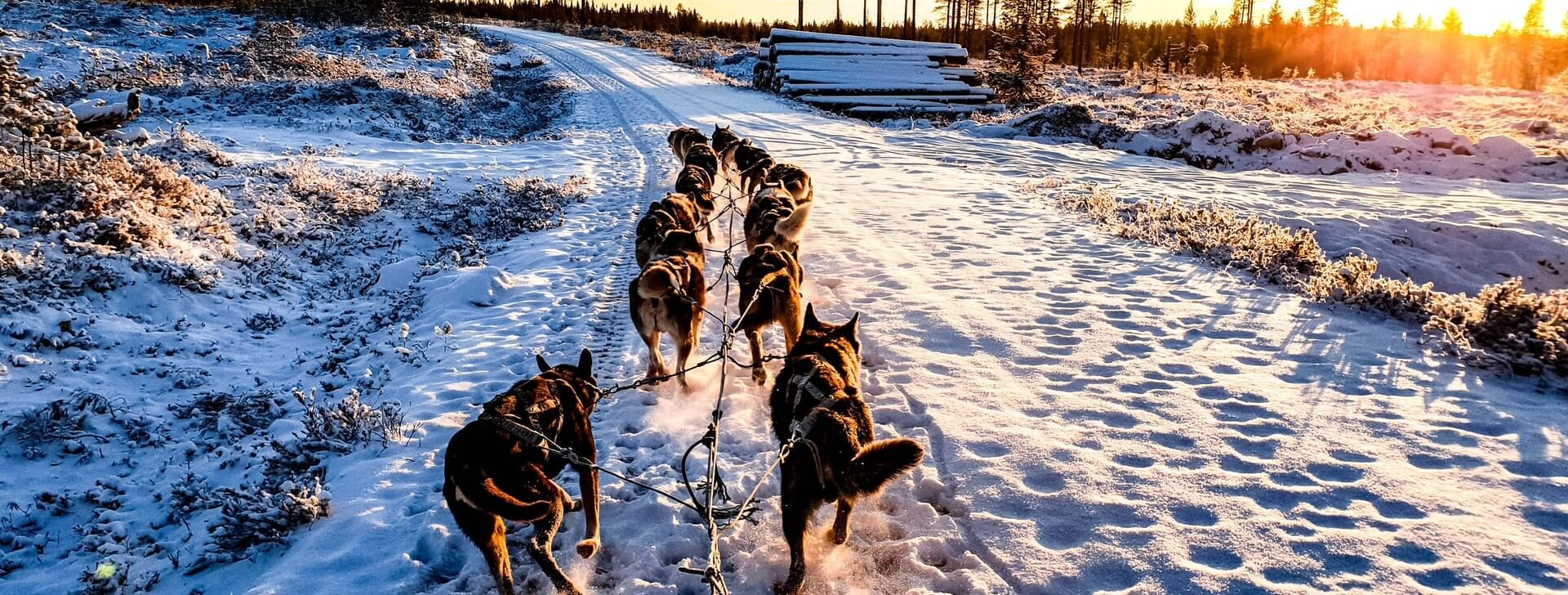 Finland Tour Packages | GT Holidays