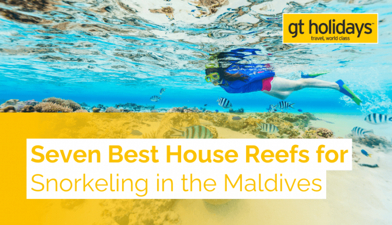 Explore the Best House Reefs for Snorkeling in the Maldives