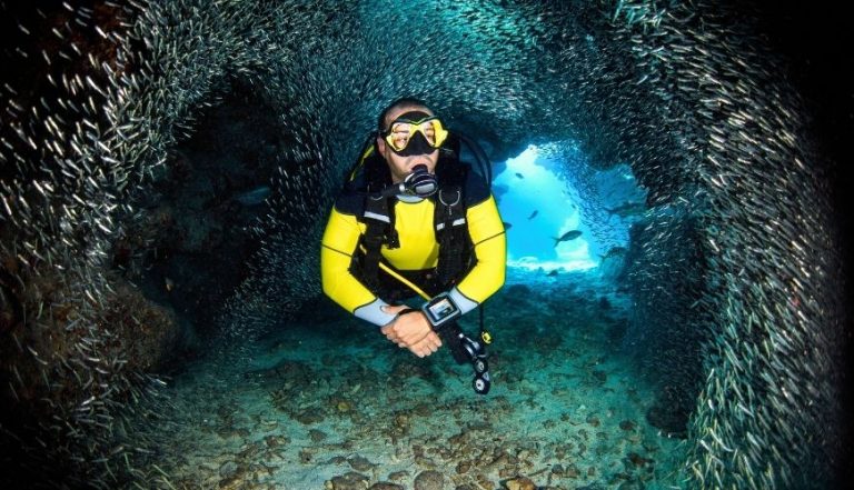 All You Must Know About Scuba Diving in Dubai